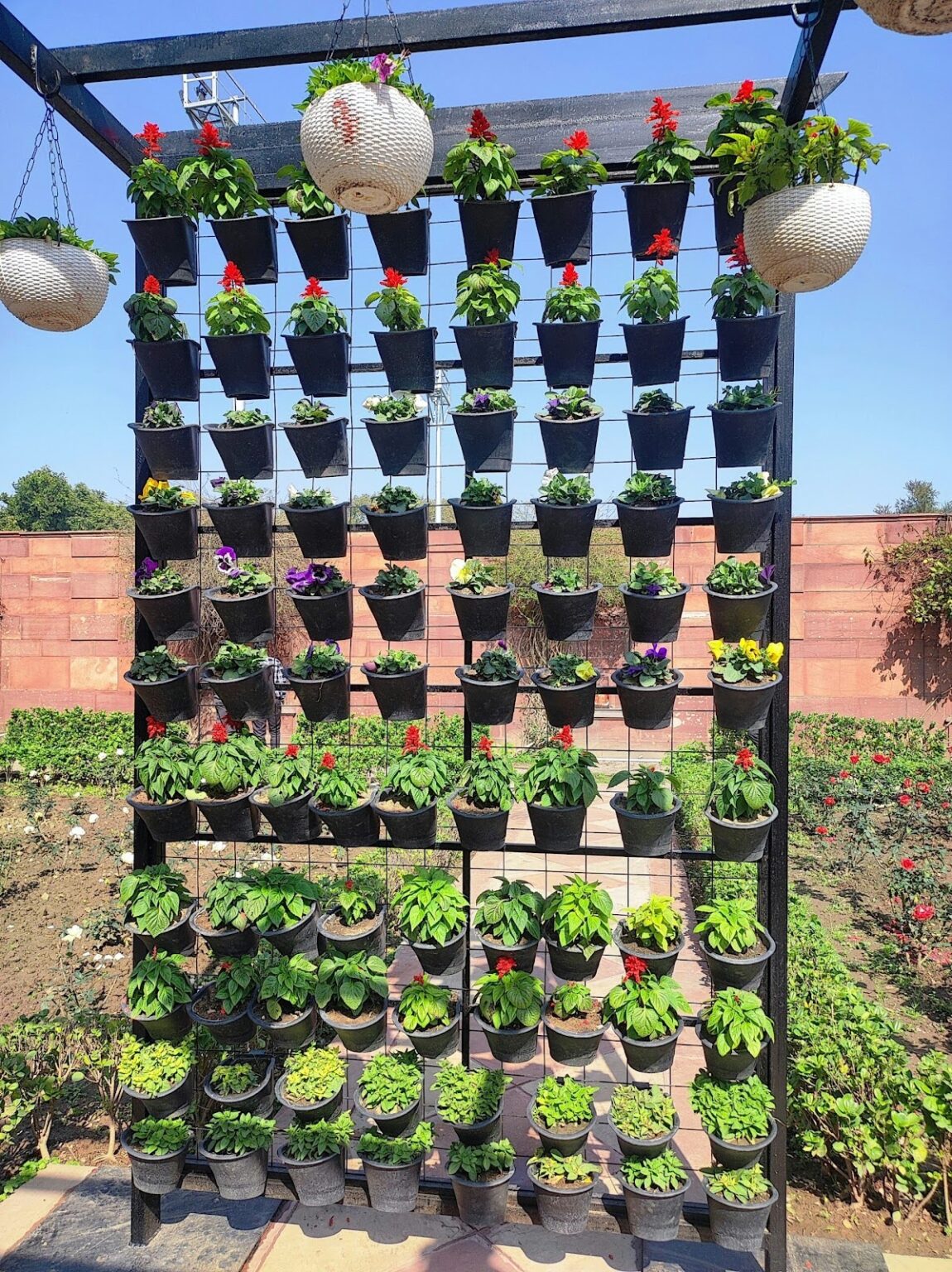 18 Farmers Market Display Ideas for Standout Stalls & Booths ...