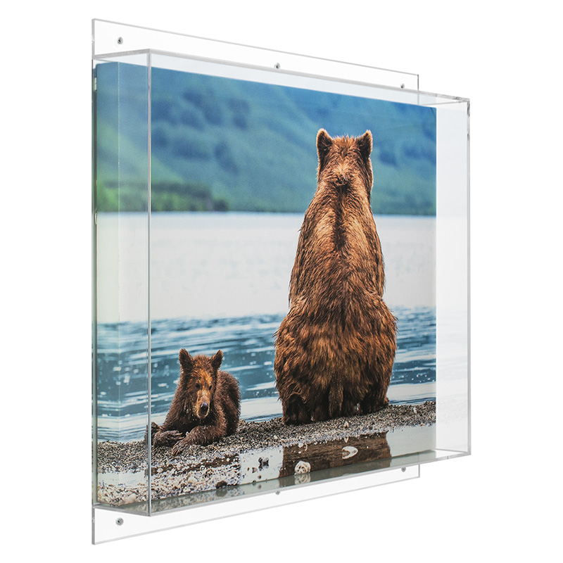 Wall Mount Canvas & Frame Cover, Protective Acrylic Shadow Box ...